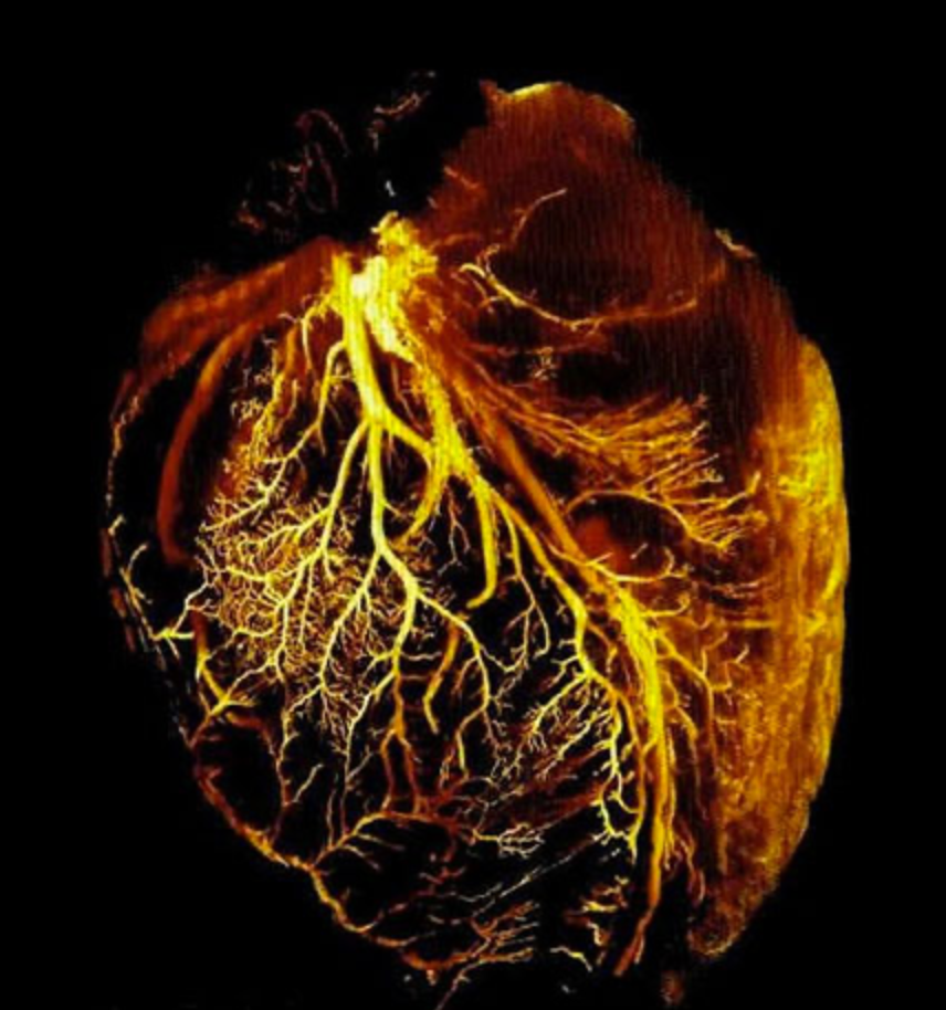 Home page – Microfil